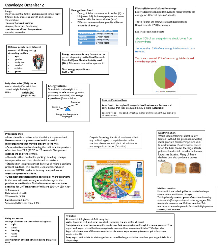 Year 7 Knowledge Organiser 2 | PDF | Food Energy | Calorie