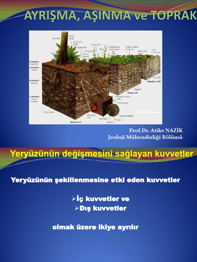 An Toprak | PDF