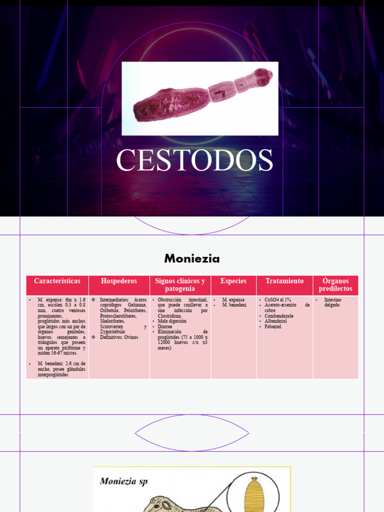 Cestodos: Guía de Diagnóstico y Tratamiento | PDF | Especialidades Medicas | Enfermedades y ...