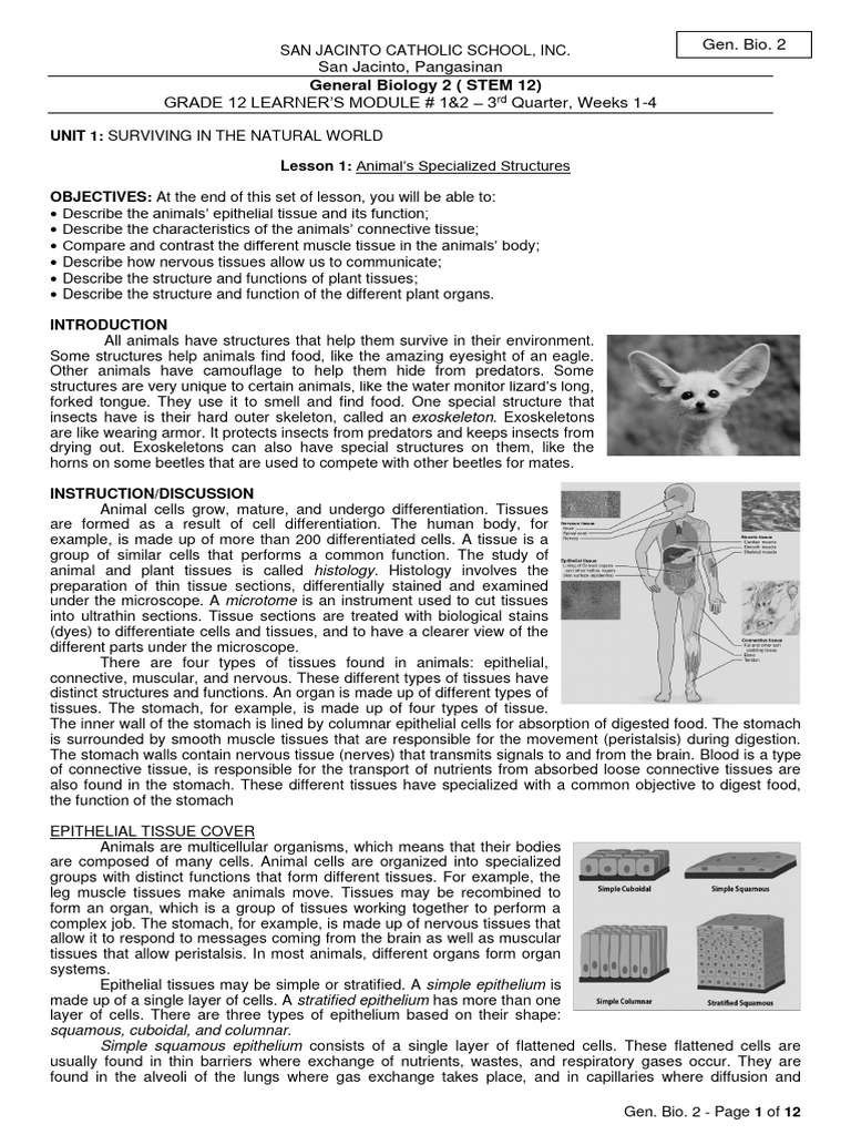 General Biology Module 1 2 | PDF | Muscle | Epithelium