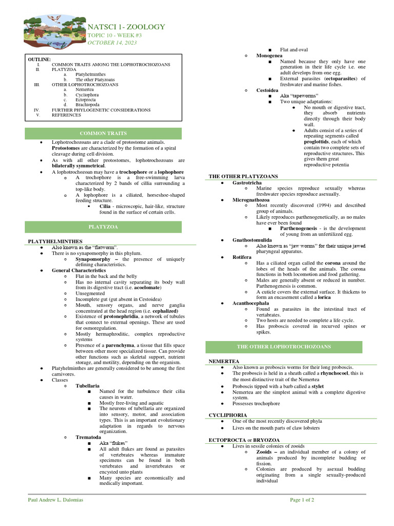 Lophotrochozoans: Traits and Phylogeny | PDF | Biology | Protostomes
