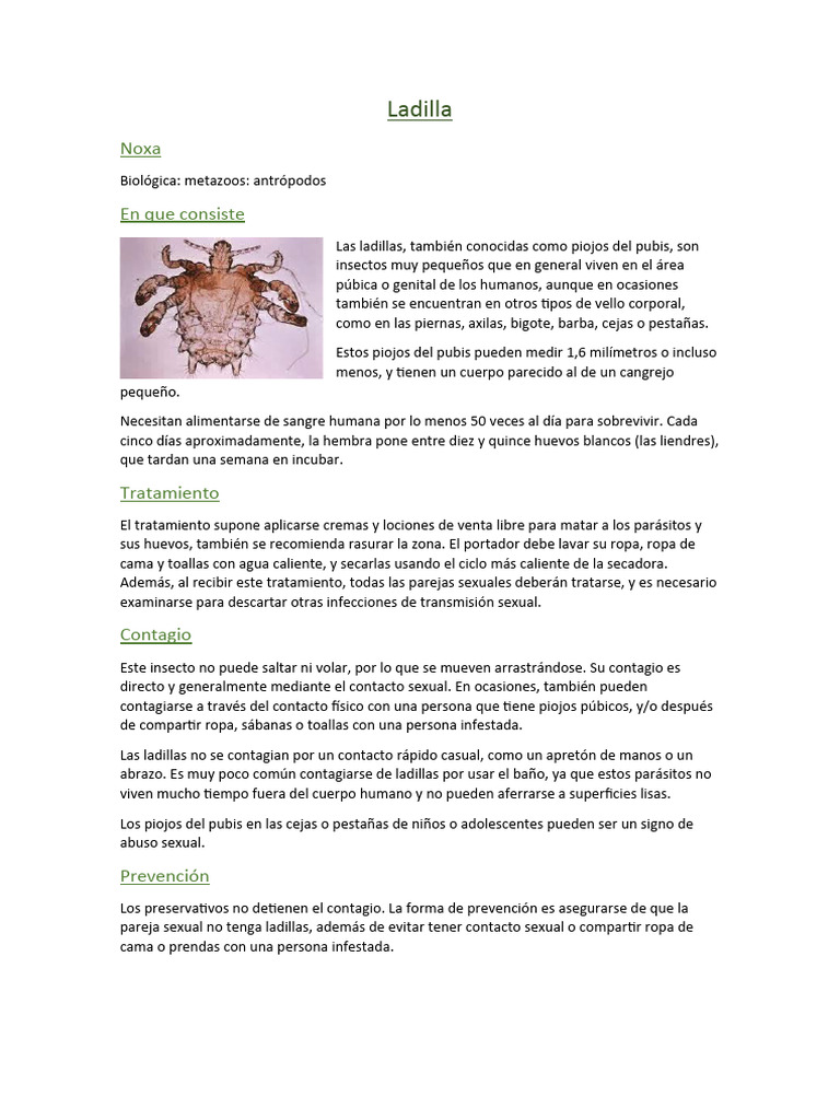 Ladilla Info | PDF | Salud y bienestar | Ciencia y matemáticas