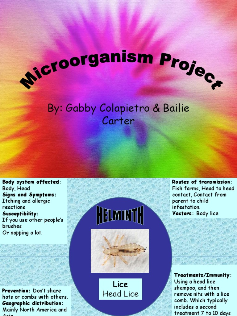 Finished Microorganism Project | PDF | Diseases And Disorders | Immunology