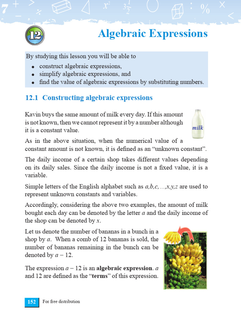 12.algebraic Expressions | PDF