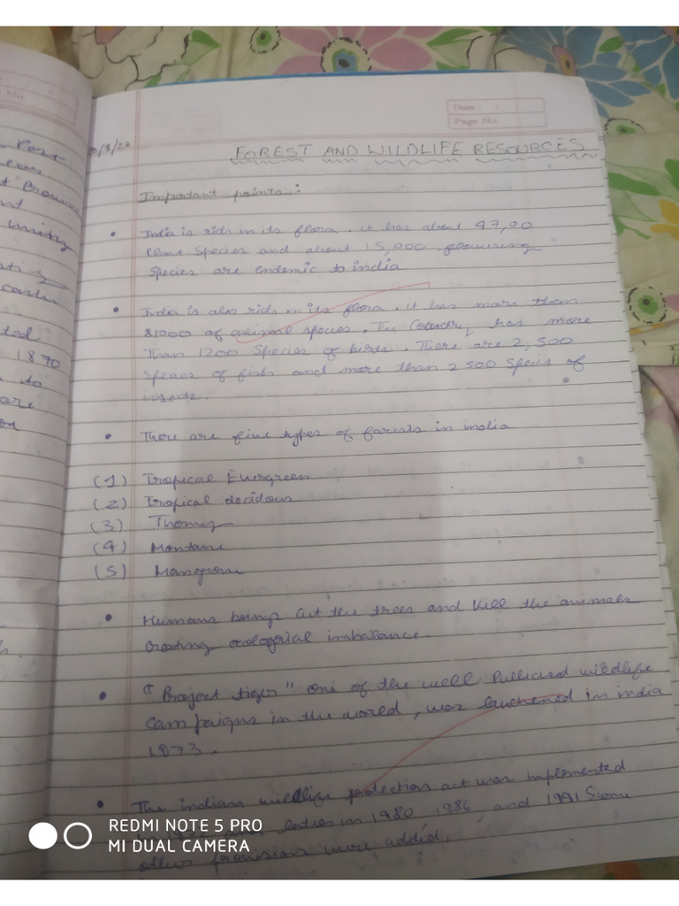 SST Class 10 Notes | PDF