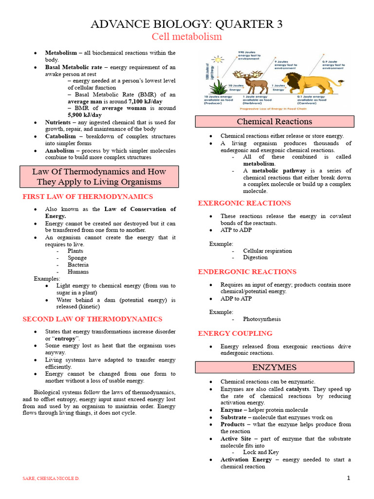 Advance Biology: Quarter 3: Cell Metabolism | PDF | Enzyme | Active Site