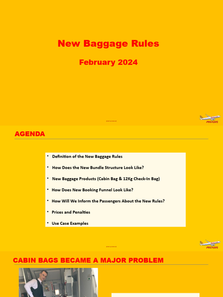 New Baggage Rules Overview - EN | PDF | Baggage | Aviation