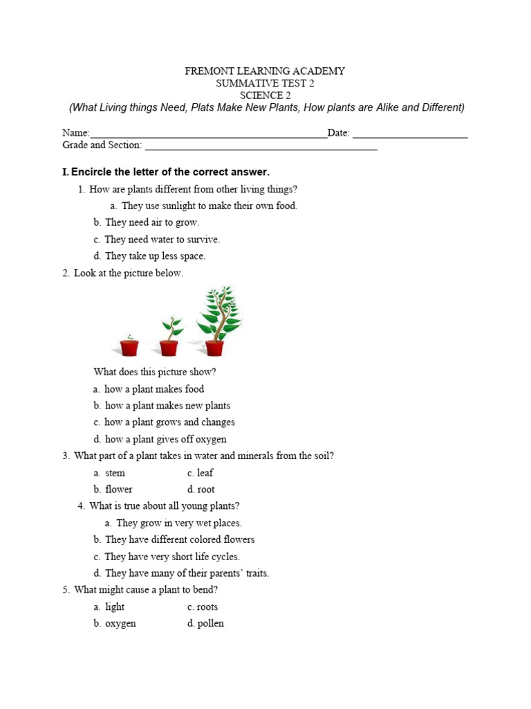 Grade 2 Plant Science Test | PDF | Plants | Flowers