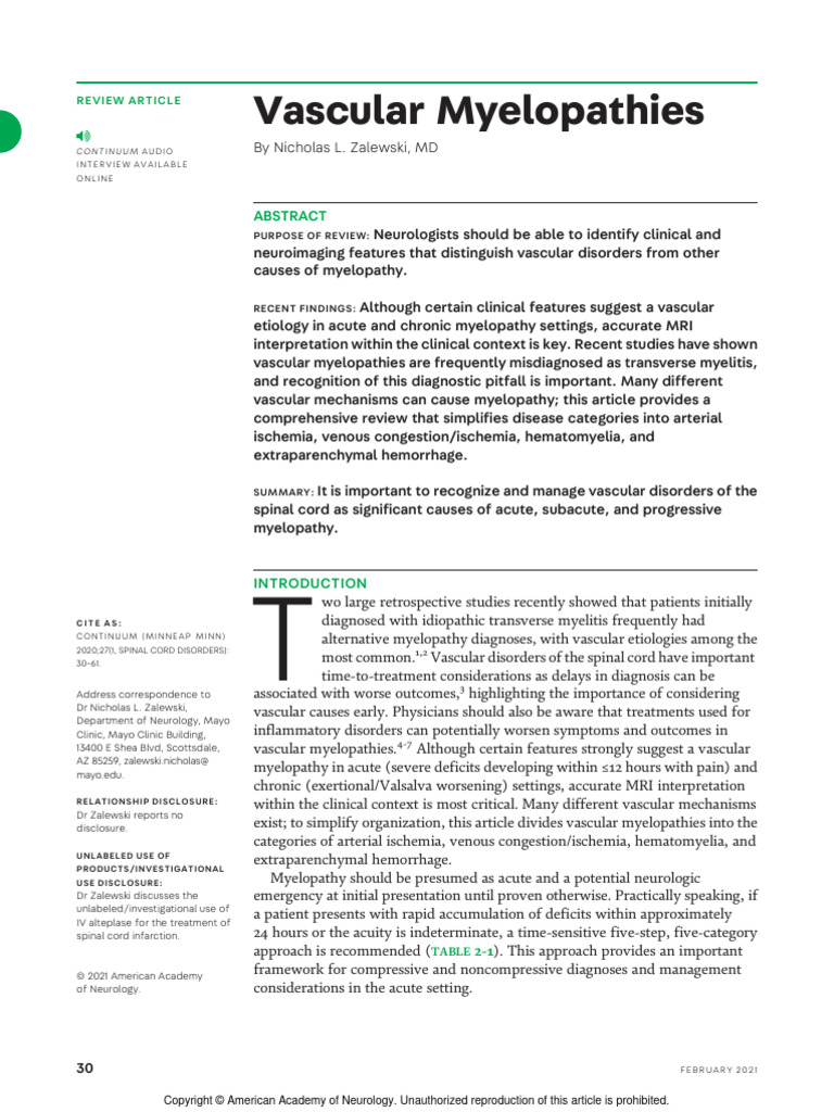 Vascular | PDF | Vertebral Column | Spinal Cord