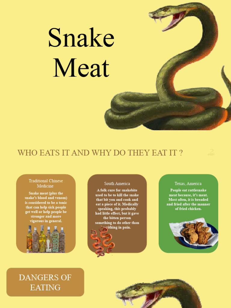 Snake Meat | PDF | Abrahamic Religions