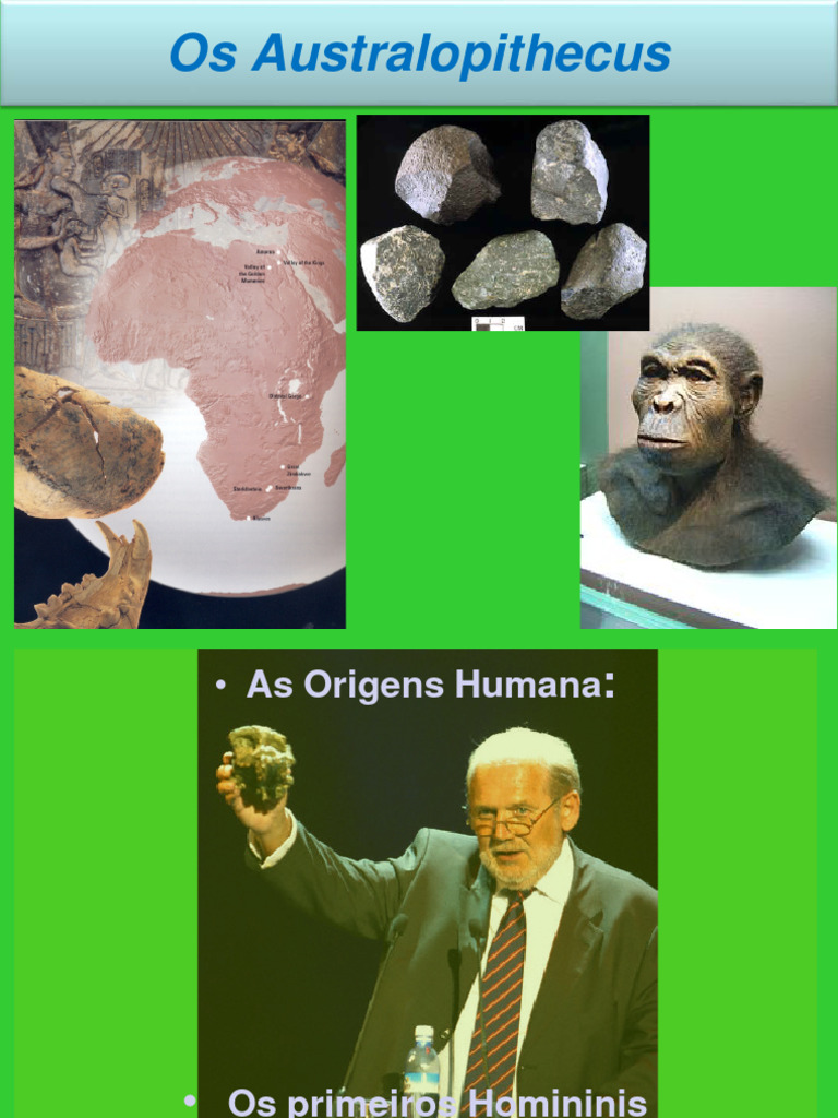 5_os_australopithecus | PDF | Homo | Fóssil