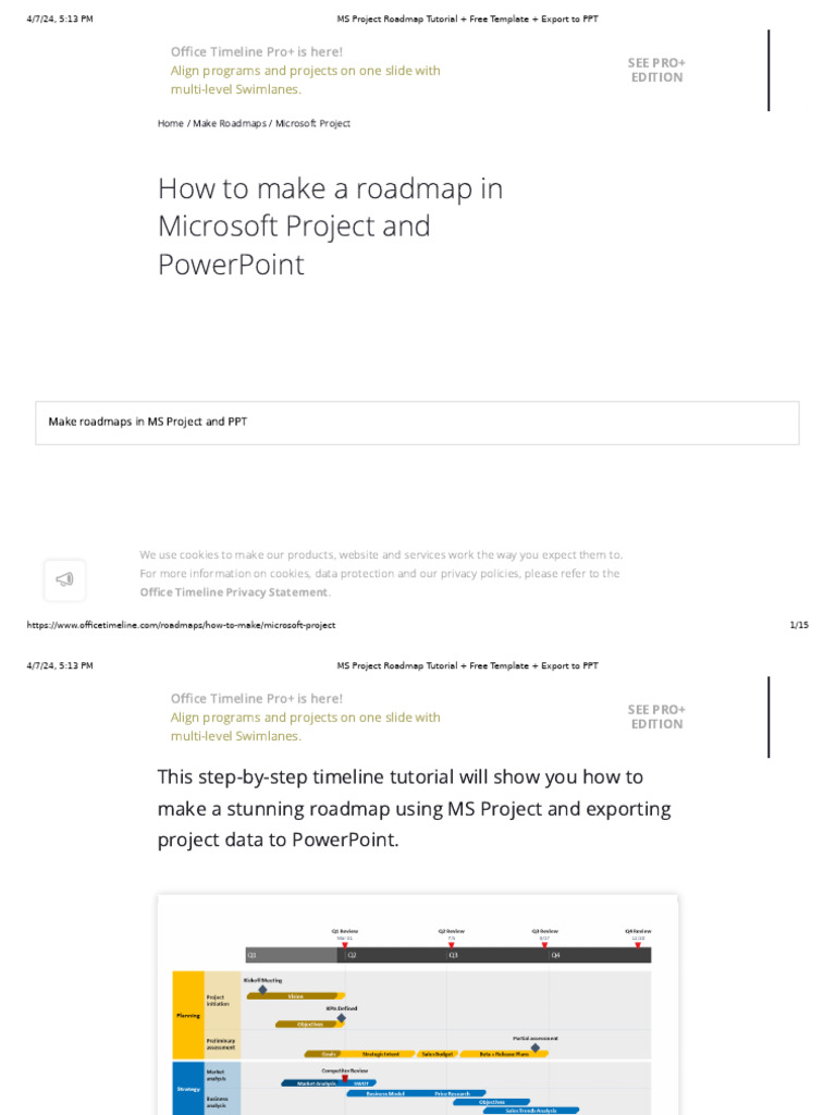 Project Roadmap Guide for PMs | PDF | Microsoft Power Point | Websites