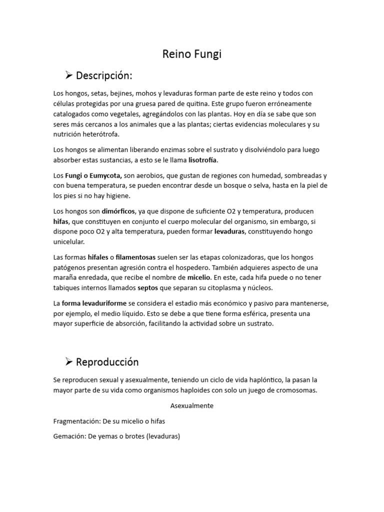 Reino Fungi | PDF | Hongo | Plantas