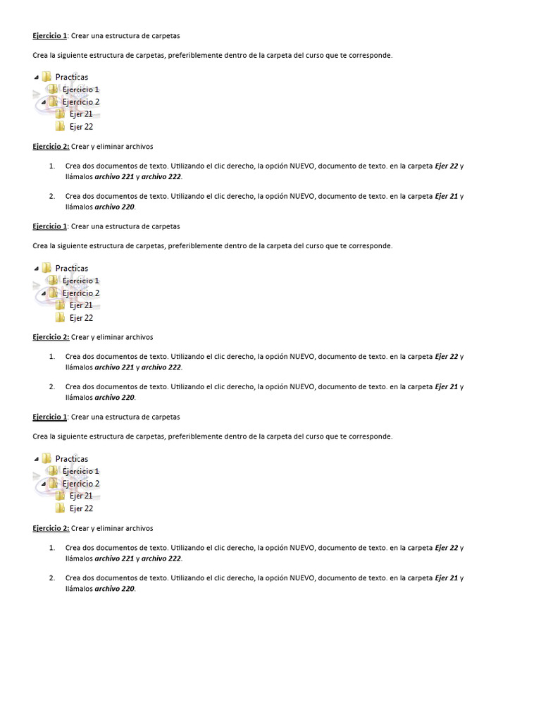 Ejercicio Carpeta de Archivo | PDF | Informática