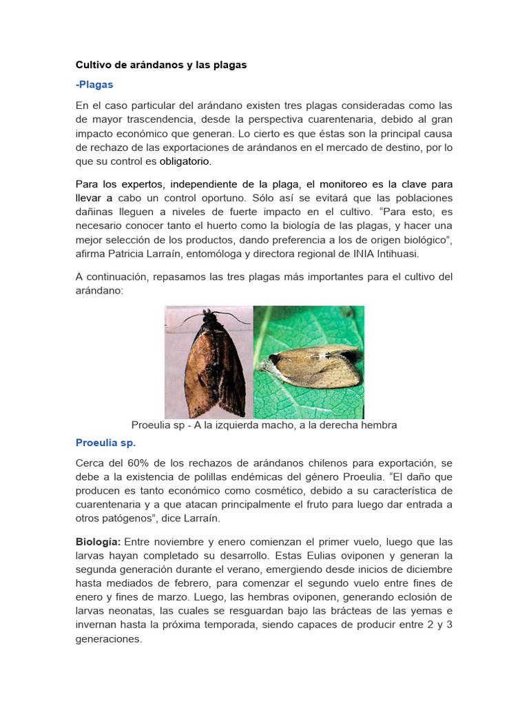 Cultivo de Arándanos y Las Plagas | PDF | Plaga (organismo) | Control ...
