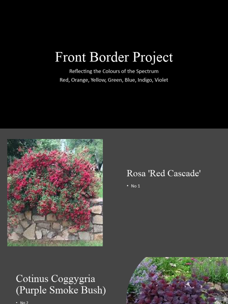 Colorful Front Border Plant Guide | PDF | Cooking, Food & Wine | Home ...