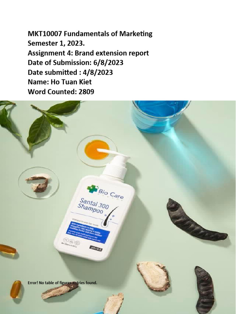 MKT10007 - Asg4 - Ho Tuan Kiet 1 1 | PDF | Brand | Shampoo