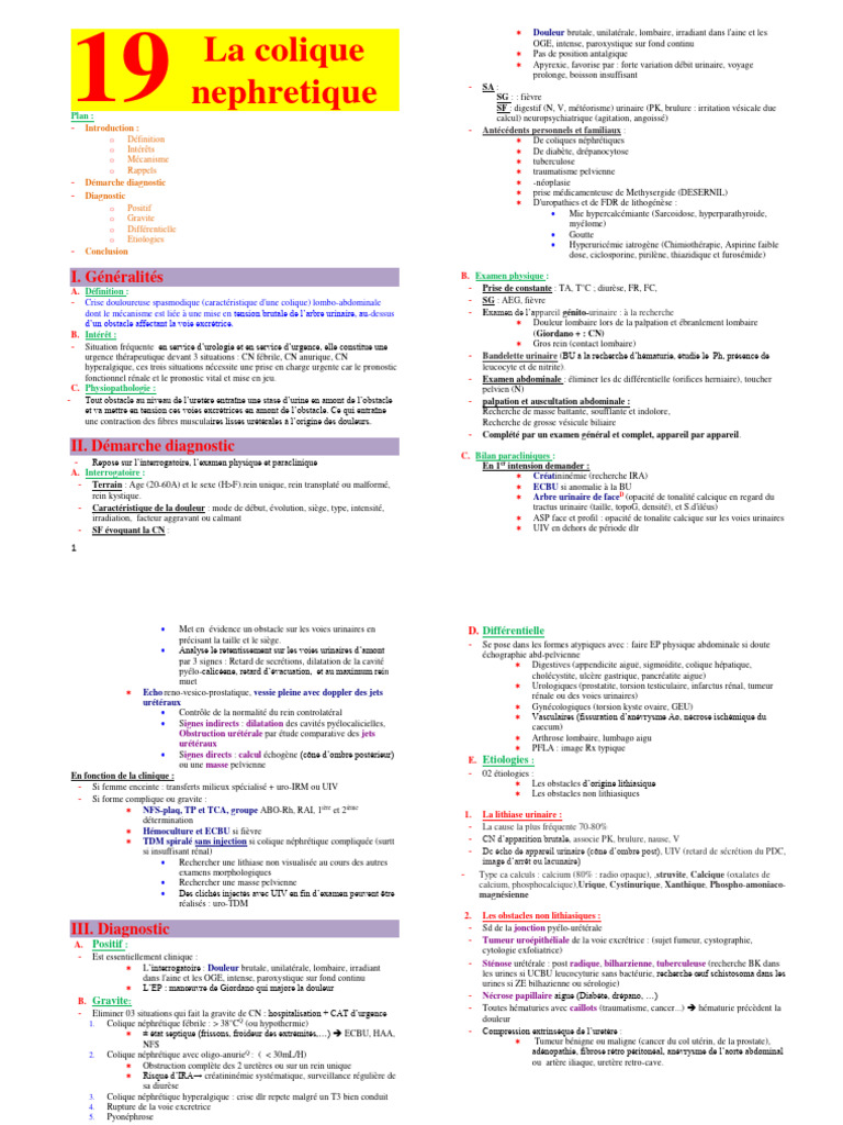 19 Colique Nephretique | PDF | Système génito-urinaire | Organe