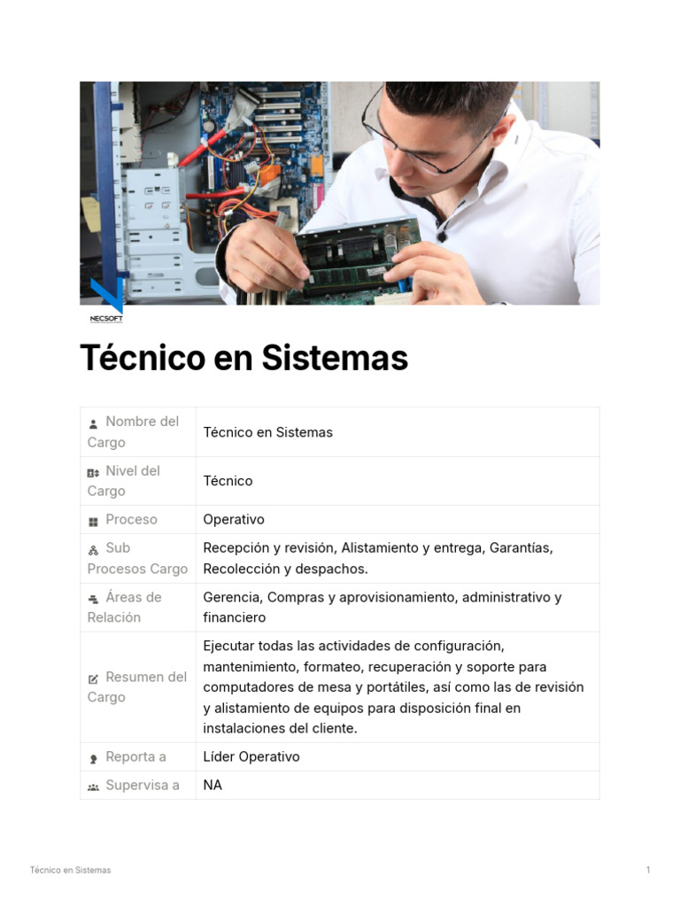 Perfil Técnico en Sistemas Necsoftpc | PDF | Software | Hardware de la computadora