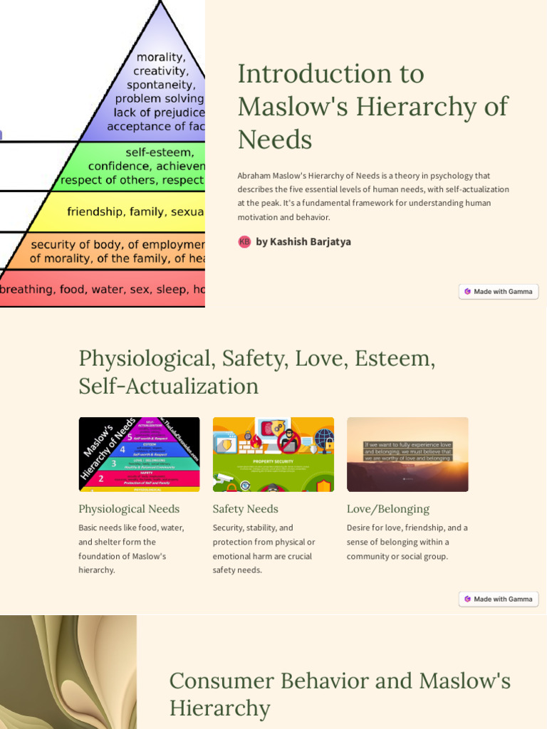 Kashishconsumerbehaviour Pdf Consumer Behaviour Motivation