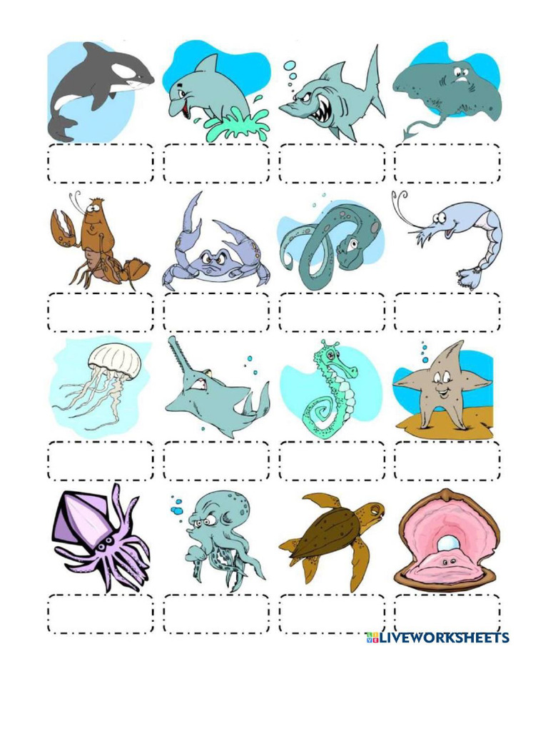 5º EP. Sea Animals - Listening | PDF
