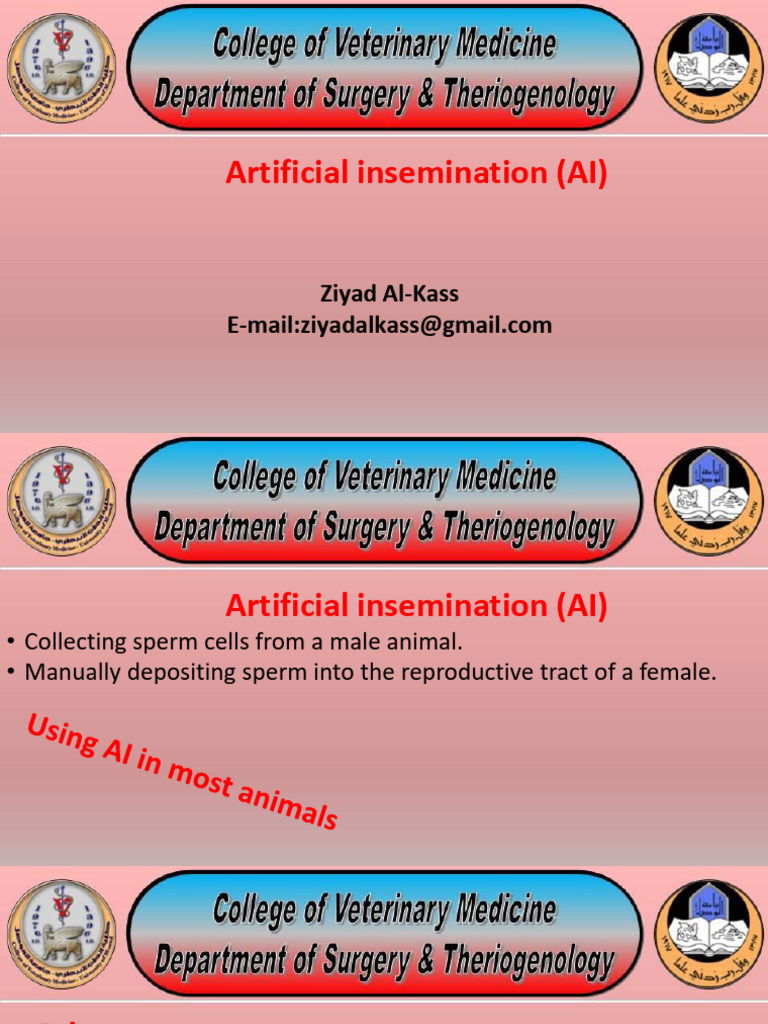 Spectrum | PDF | Vagina | Reproductive System