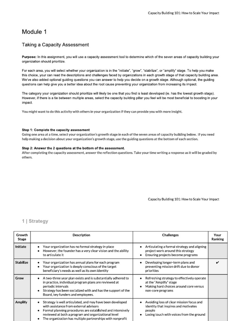 Capacity Building Assessment | PDF