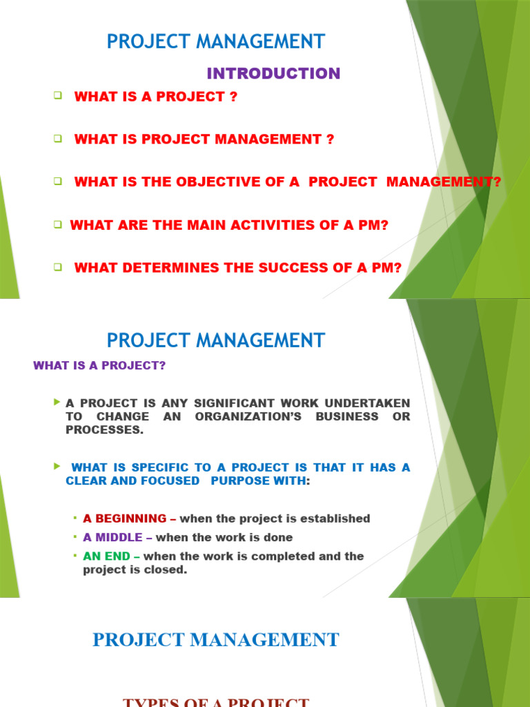 Project Management Pdf Project Management Business