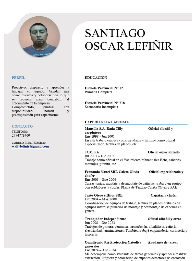 Ejemplo CV 2024 | PDF | Materiales