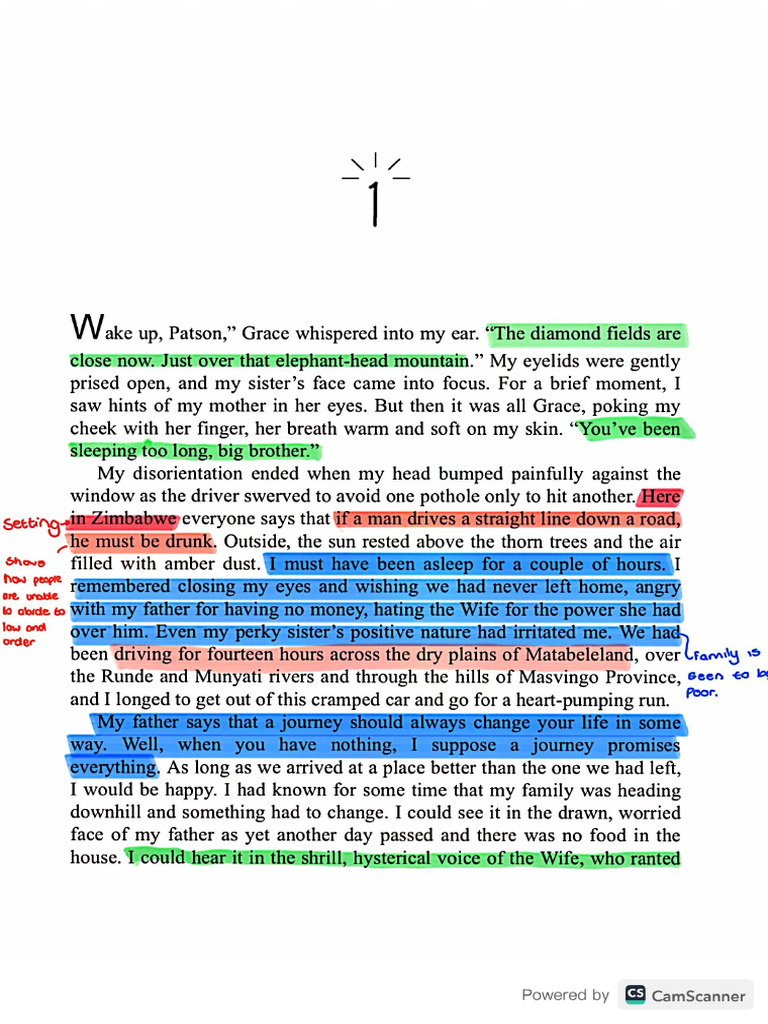 Chapter 1 Diamond Boy Annotated Notes | PDF