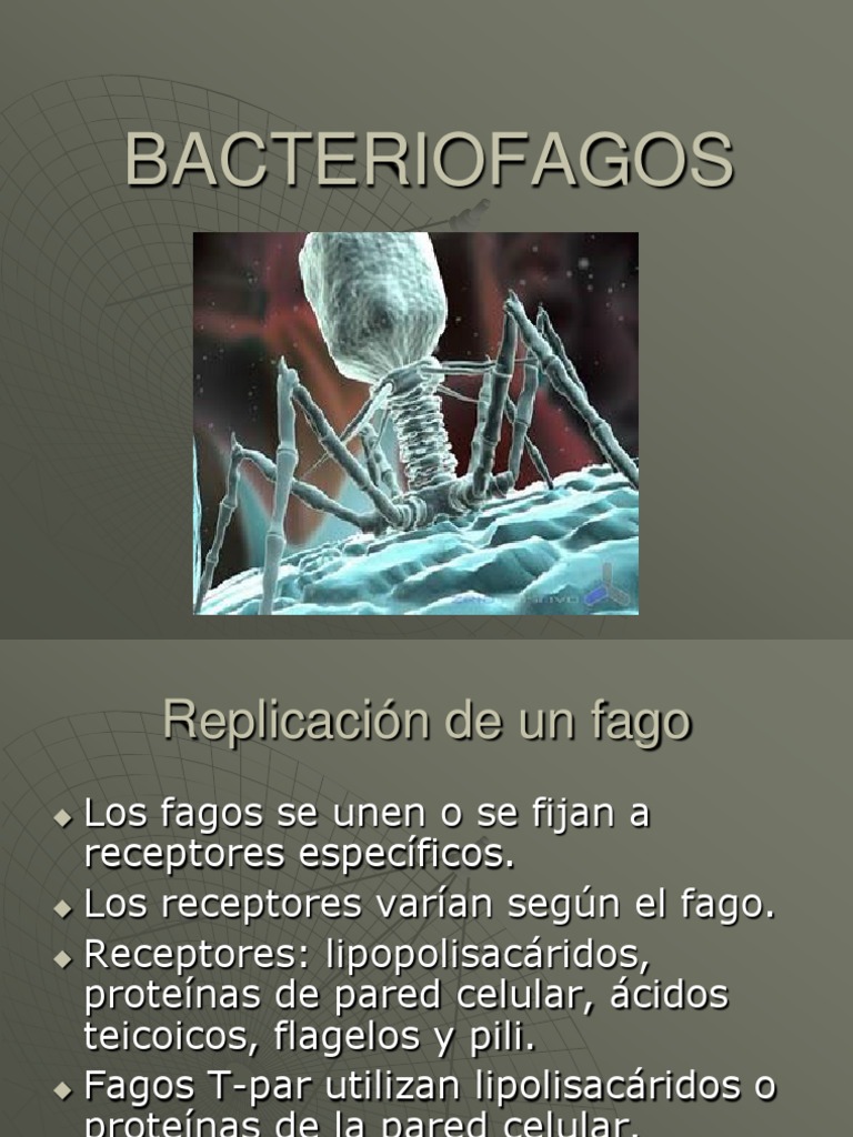 Fagos | Bacteriófago | Adn | Prueba gratuita de 30 días | Scribd