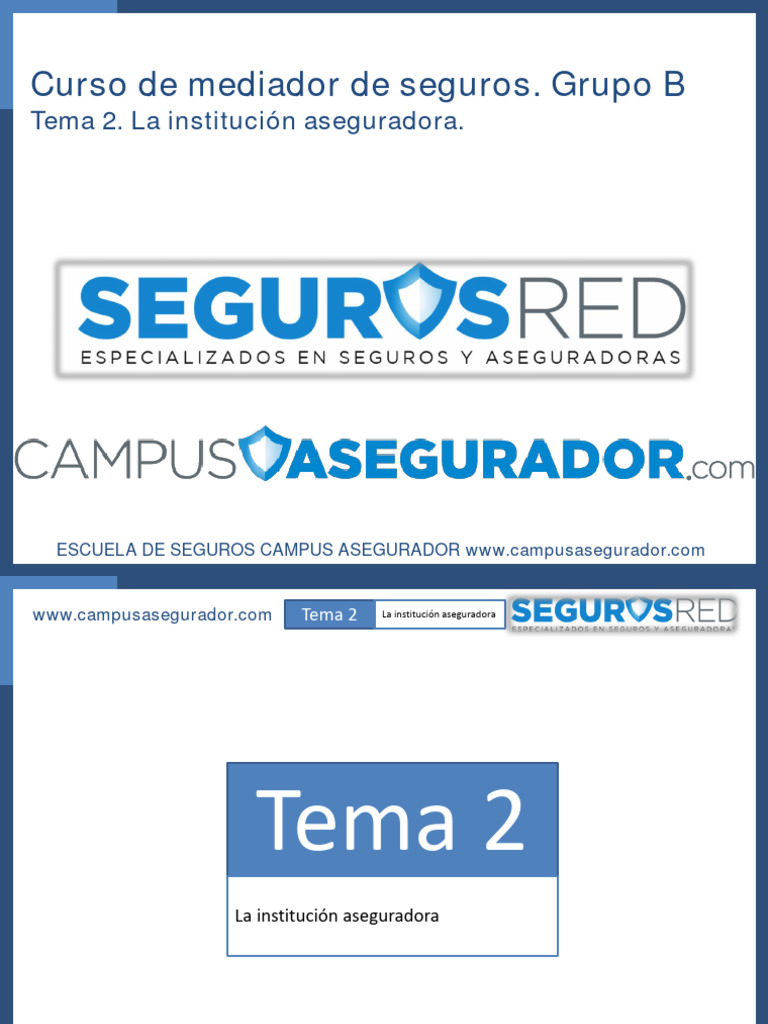 Curso de mediador de seguros GRUPO B - Módulo I - Tema 2. La institución aseguradora | PDF ...