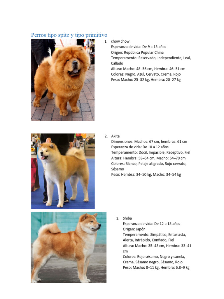 Perros Tipo Spitz y Tipo Primitivo | Descargar gratis PDF | Perros como ...