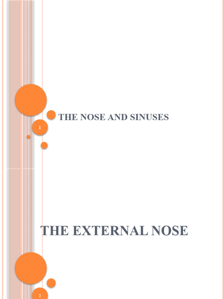 The Nose and Sinuses | PDF | Human Nose | Rhinology