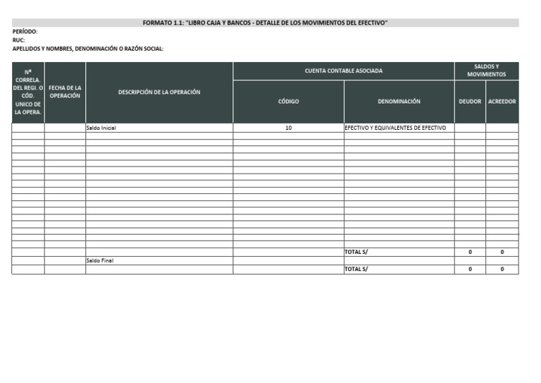 Formato 1.1 | PDF