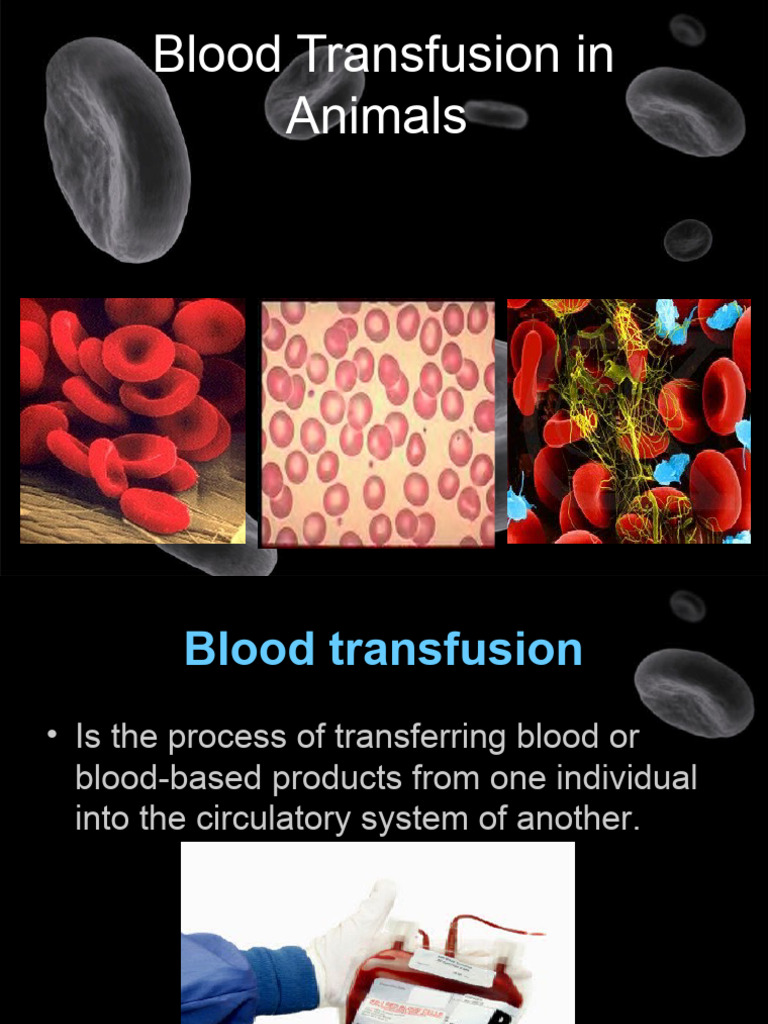8 Blood Transfusion | PDF | Blood Type | Blood Plasma