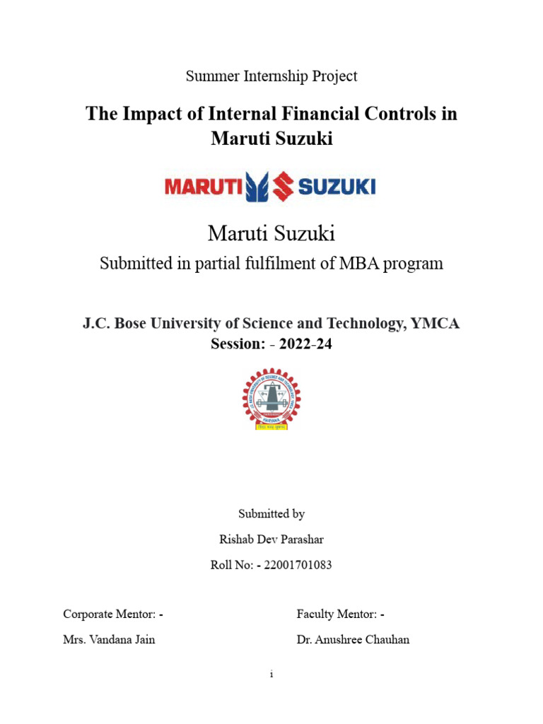 Rishab Summer Internship Project | PDF | Audit | Internal Control