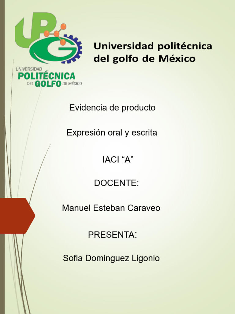 Sofia Dominguez Ligonio - 072920 | PDF