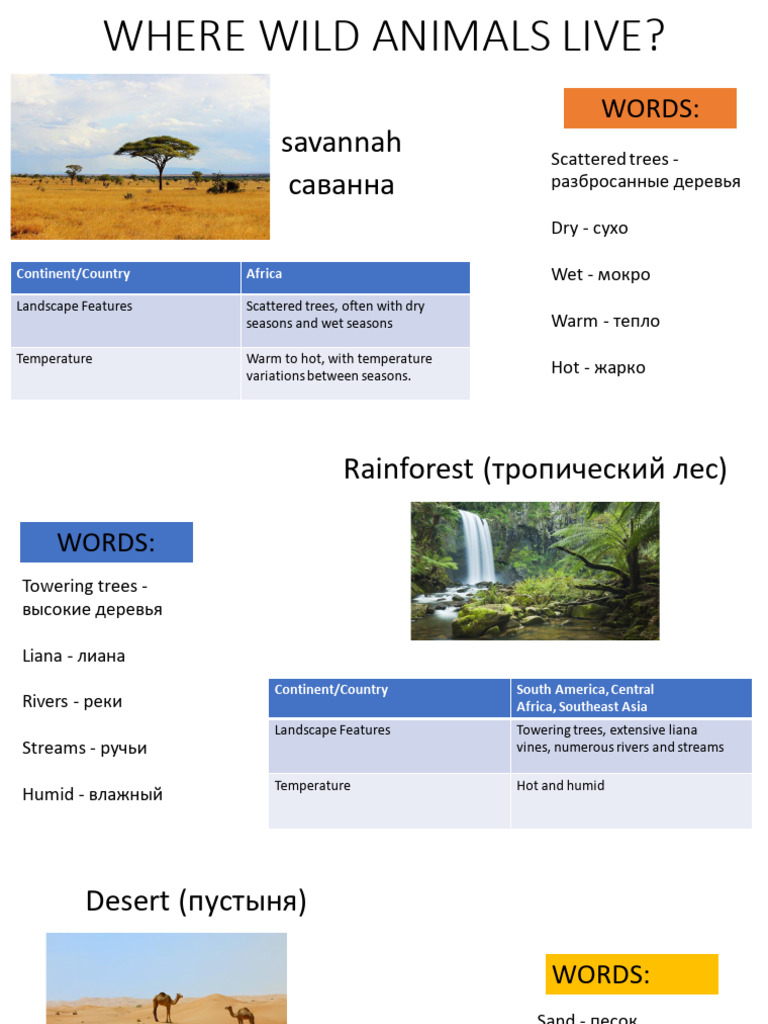 Habitats of Wild Animals Explained | PDF | Desert | Grassland