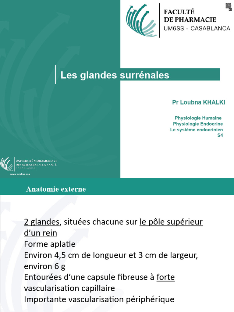 Anatomie et Fonctions des Surrénales | PDF | Glande surrénale | Glandes