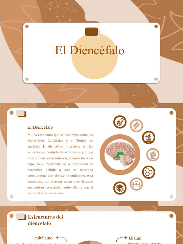 Dien Cefalo | PDF | Relaciones personales, crianza y desarrollo personal | Salud y bienestar