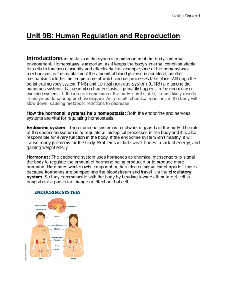 V3 Unit 9b Human Regulation And Reproduction Pdf Menstrual Cycle Hypothermia
