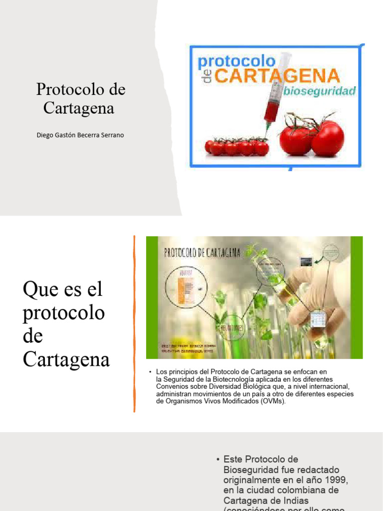 Protocolo de Cartagena | PDF | Biotecnología