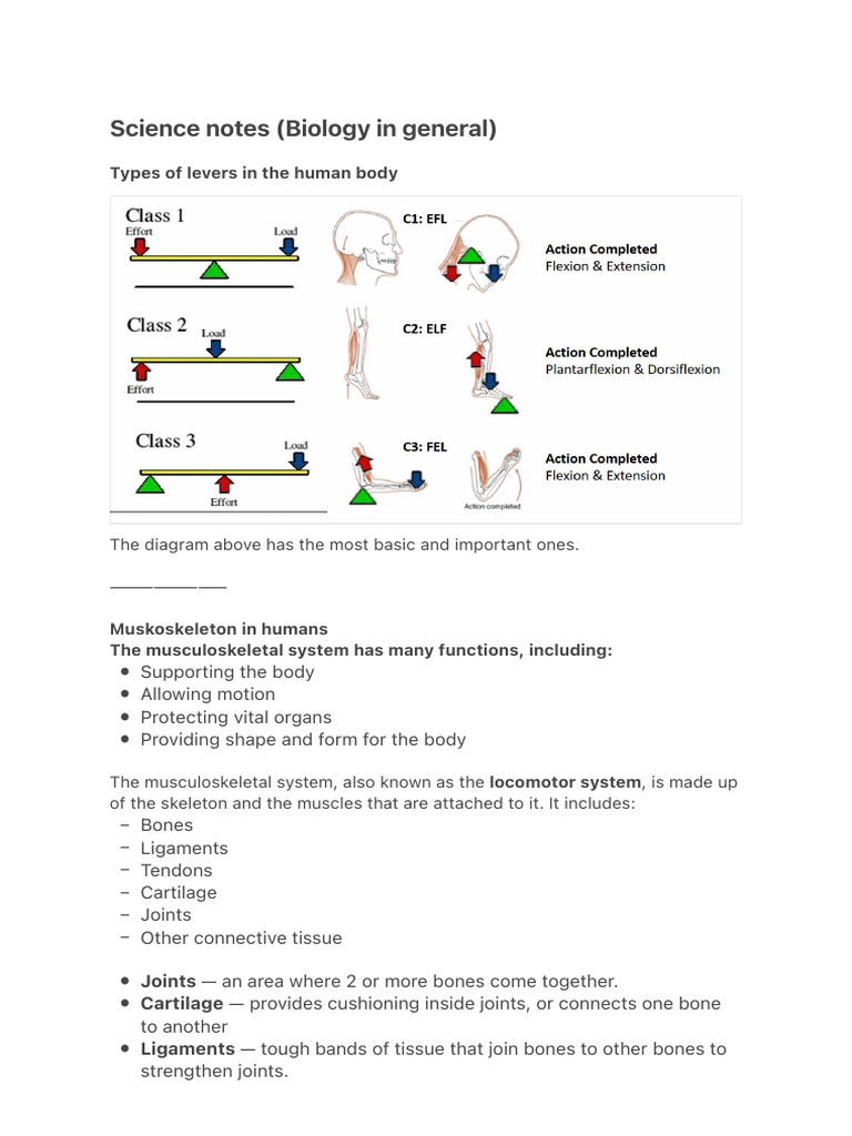 Science notes (Biology in general) | PDF | Mitosis | Meiosis