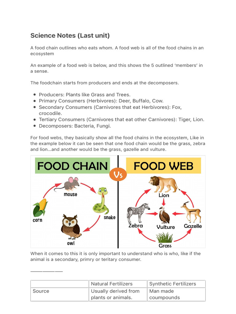 Food Chains, Fertilizers, and Energy | PDF | Foods | Fertilizer