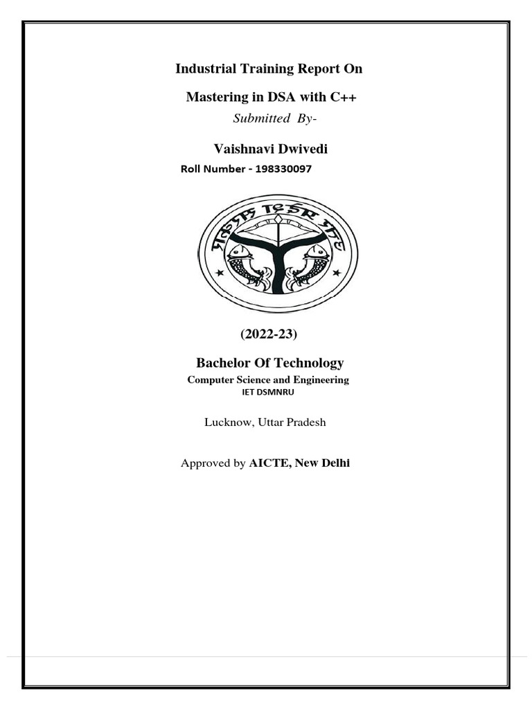 Report Indutry | PDF | Computer Programming | Theoretical Computer Science