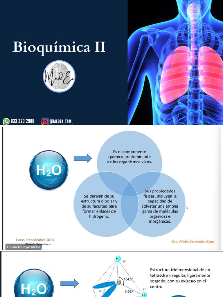 Bioquimica II | PDF