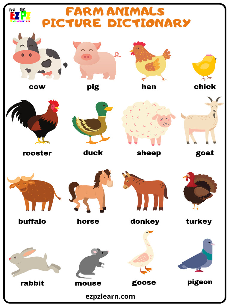Farm Animals Teacher Switcher | PDF | Cooking, Food & Wine