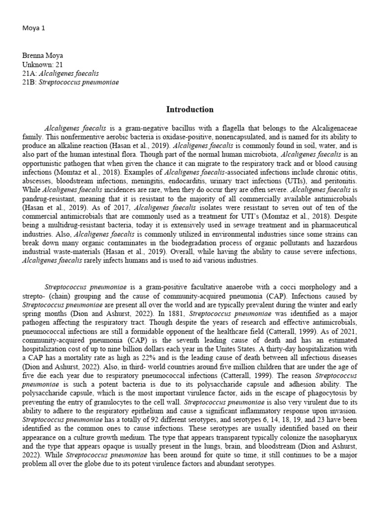 Bio 231 Unknown Lab Report | PDF | Streptococcus | Gram Negative Bacteria