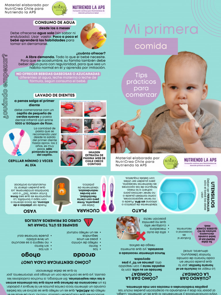 Mi Primera Comida Pdf